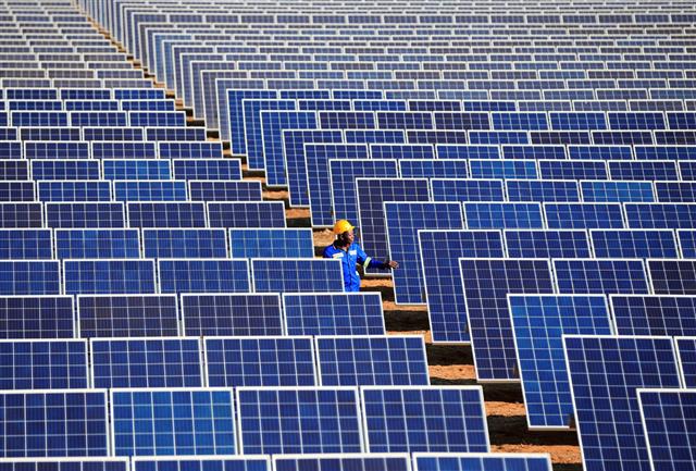 Global installed capacity could reach 14,000 GW by 2050: CPIA|All News ...