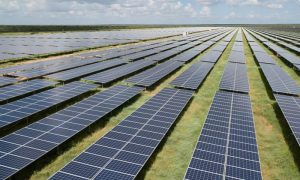 Newcomers flood into solar sector, good or bad? | Solarbe Global