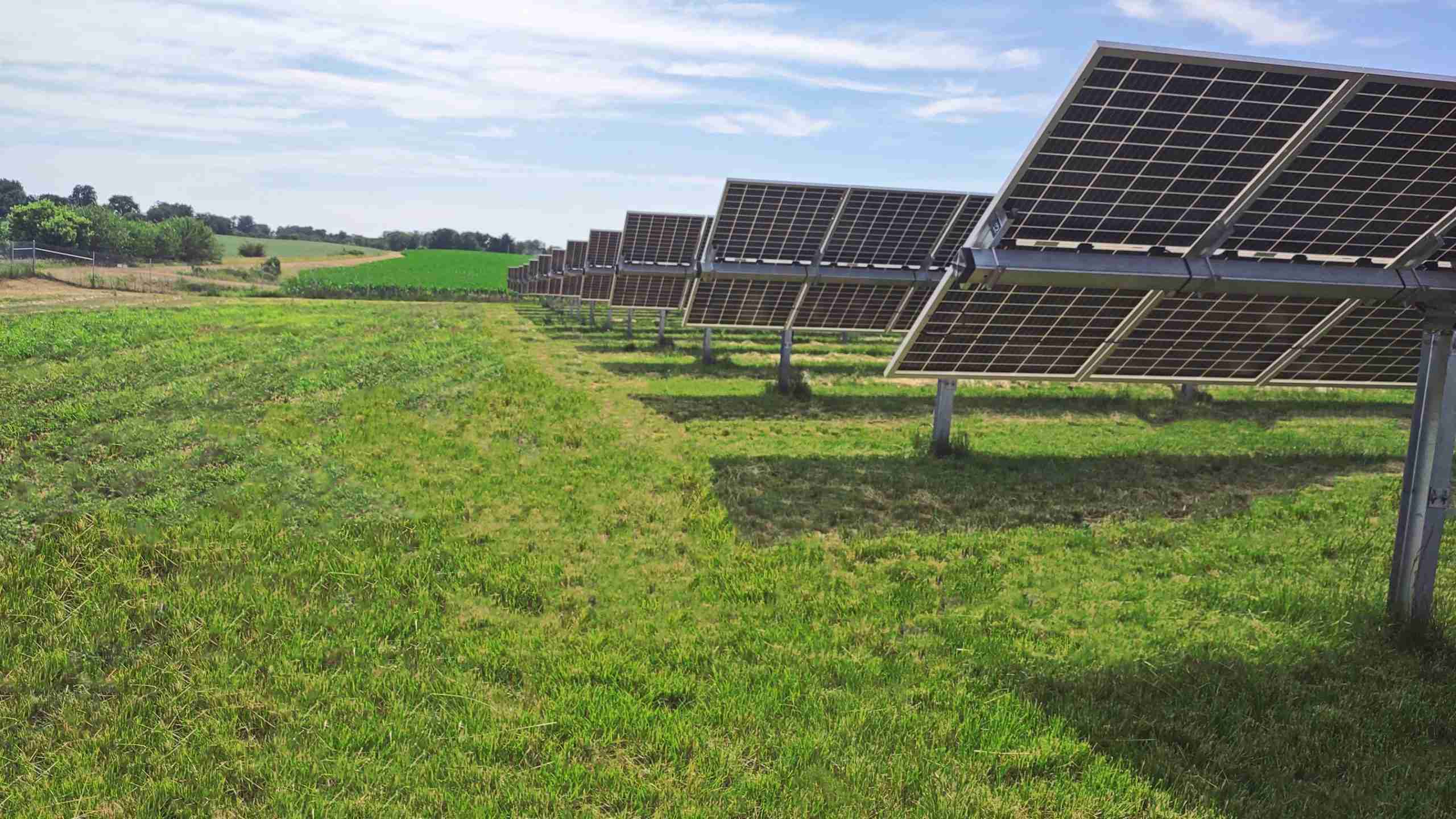 Solar FlexRack supplies trackers for 42 MW solar project in Illinois ...