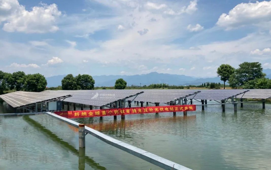 World's first perovskite fishery-PV plant connects to grid