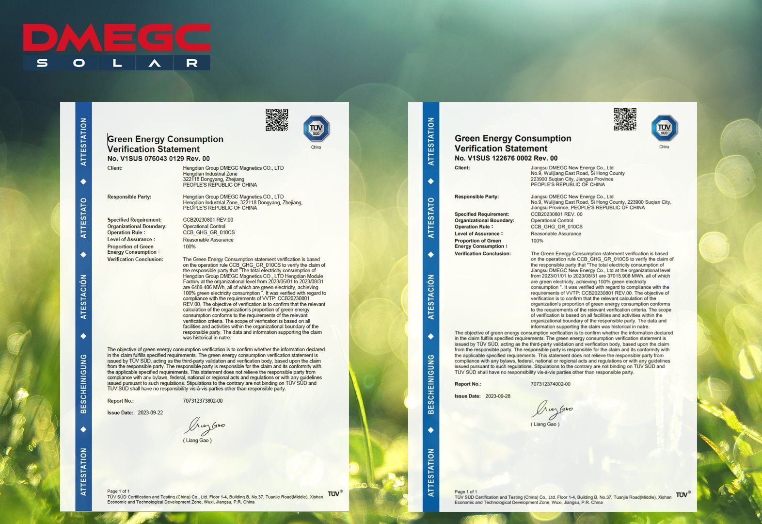 DMEGC Solar Powers Module Production Entirely with 100% Green Energy