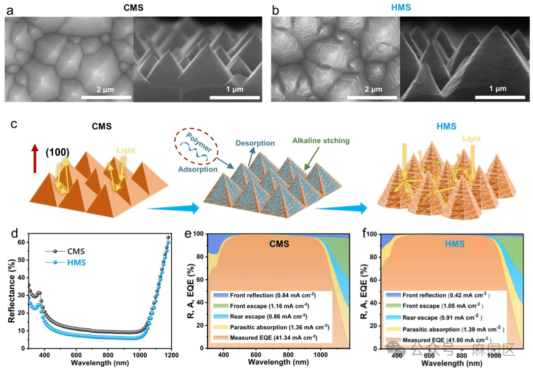 New World Record! LONGi's Large-Area TBC Solar Cell Efficiency Breaks ...